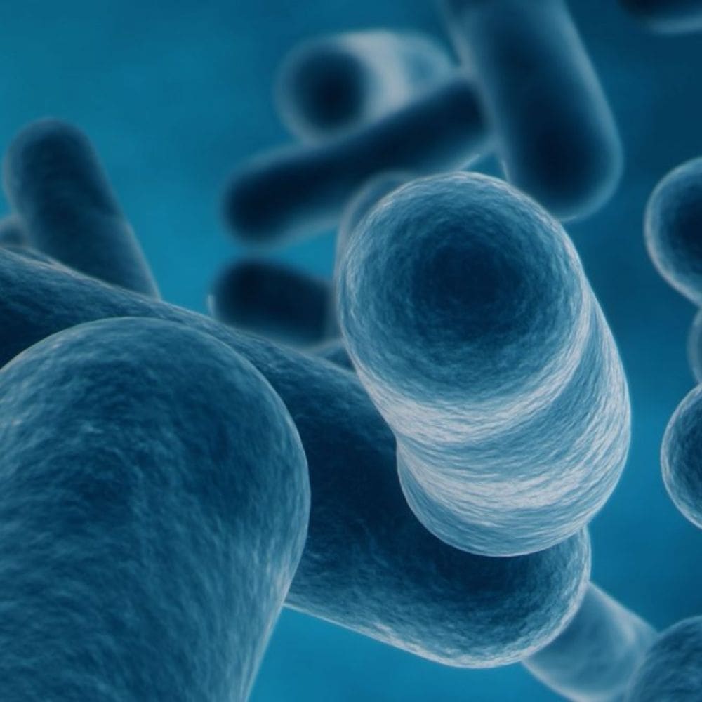 Antimicrobial Additives, Technology, & Solutions | BioCote Ltd